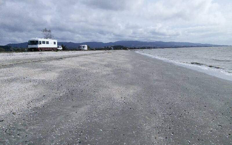 Rays Rest Reserve | Freedom/Basic Camp | New Zealand